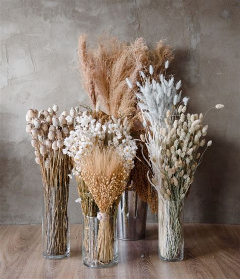 Preserved Botanicals Quality Growers Floral Company