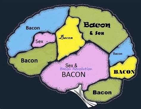 Bacon Revolution Added A New Photo Bacon Revolution