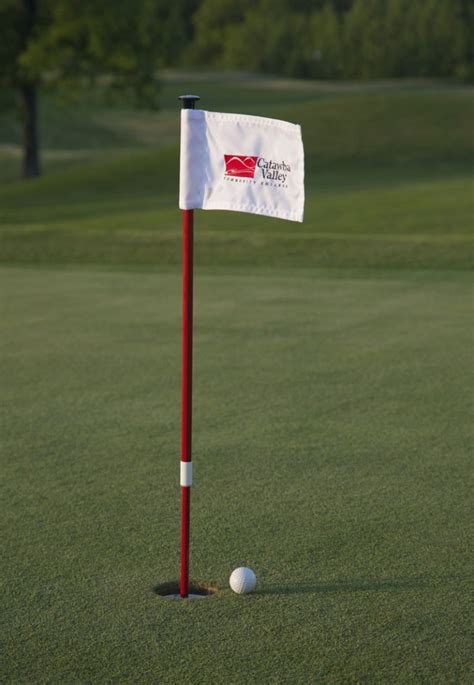 Customized Backyard Putting Green Flags PushNPutt