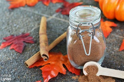 Homemade Pumpkin Spice The Best Way To Enjoy Pumpkin Spice All Year
