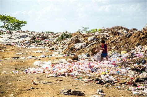 How Much Do Garbage Collectors Make Cash That