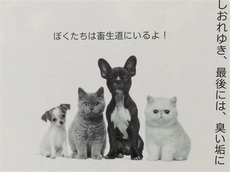 らいず On Twitter バーチャルの世界で生まれ変わってもまた人間の体になりたいとしか考えられていない皆さん。 昔の人はもっと色んな