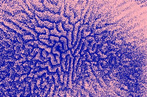 Solutions Veritas Automata