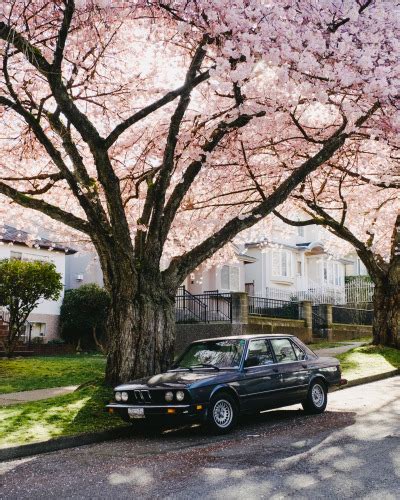 Spring In The City Tumbex