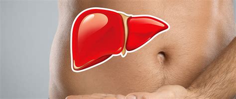 Top 5 Mushrooms To Improve And Protect Your Liver Health Natures Rise