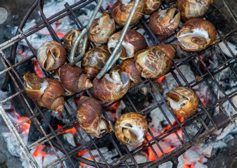 Snails Grill Stock Image Image Of Close Dish Grilled 104832383