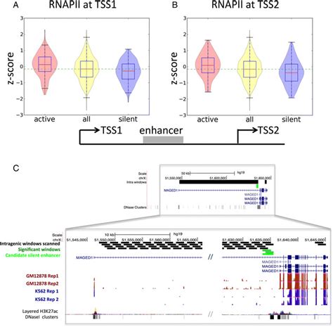 Intragenic Enhancers And Differential Transcript Expression Relative