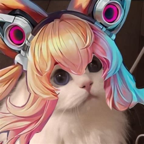Ghim của Duong Ly trên Lưu nhanh Anime Mèo Hài hước về mèo