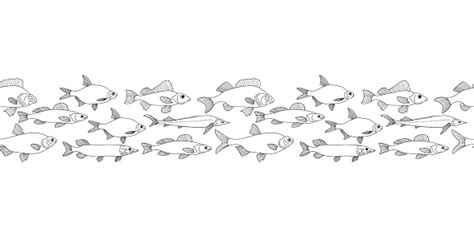 낙서 물고기 원활한 국경 흰색에 고립 해산물 손 그리기 아트 라인입니다 색칠 페이지 책 벡터 스톡 일러스트 낙서 드로잉에 대한 스톡 벡터 아트 및 기타 이미지 Istock