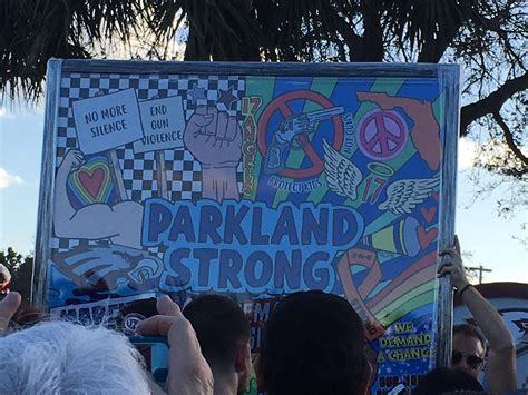 Too Much Or Not Enough Gun Control In The Wake Of Parkland School