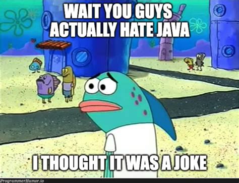 poor java – ProgrammerHumor.io