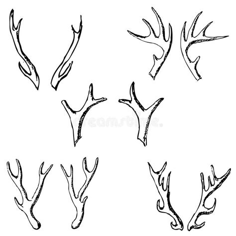 Horn Sketch Of A Deer Pencil Drawing By Hand Stock Vector