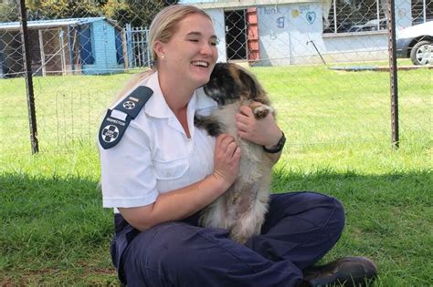 Westrandwaterwatch Prepared And Pawsitive Spca Ready For Water