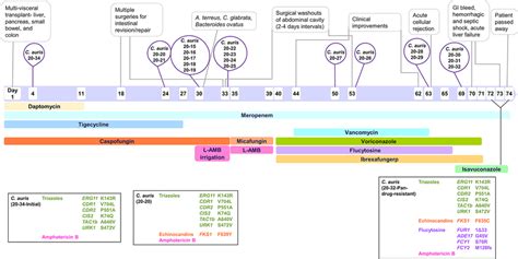 A Timeline Of The Clinical Course Of The Patient Candida Auris
