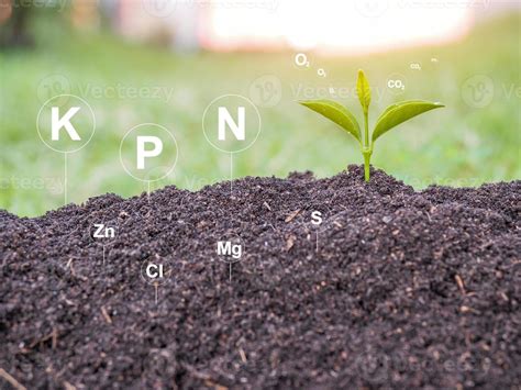 Soil Nutrients Stock Photos Images And Backgrounds For Free Download