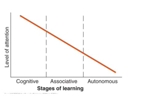 Module Motor Learning Flashcards Quizlet