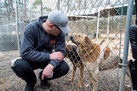 Animal Cruelty Investigations Aspca Professional