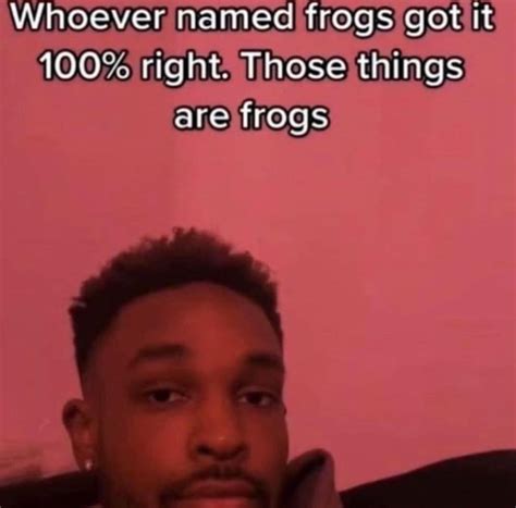 They Must Be Frogs Given That According To The Wise Whatever The Hell