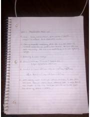 Chem Lab Pdf Course Hero