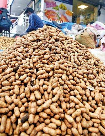 Groundnut Exports Up 6 In Fiscal 2021 Ahmedabad News Times Of India