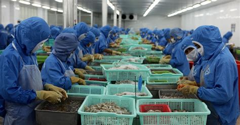 Mexico Represents 8th Largest Tuna Import Market Of Vietnam