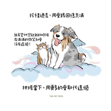 2年前 當咕嘰生病的時候 當咕嘰不吃不喝的時候 當咕嘰瘦得只剩下骨頭的時候 當咕嘰要走的那個下午 當我哭得睡著了在夢中被提醒咕嘰要走了的時候