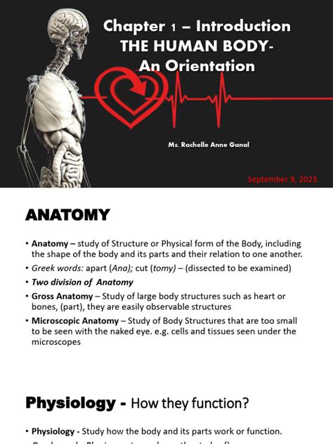 Chapter 1 Anatomy And Physiology Pdf