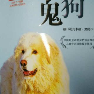 鬼狗序 格日勒其木格 黑鹤 在线收听 爱 悦读 荔枝