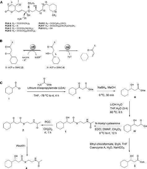 Figure 1 From Structural And Stereochemical Analysis Of A Modular Polyketide Synthase
