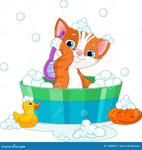 Cat Having A Bath Stock Vector Illustration Of Adorable 17083837