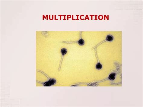 PPT MULTIPLICATION PowerPoint Presentation Free Download ID 1487382