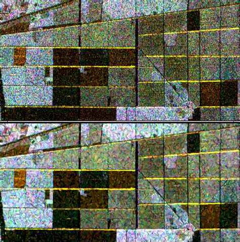 Parbleu Technologies Privateers