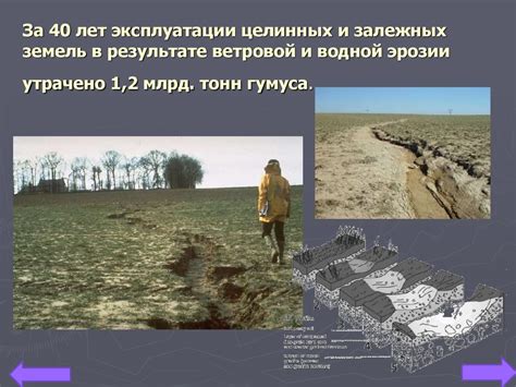 Экологические проблемы Казахстана презентация онлайн