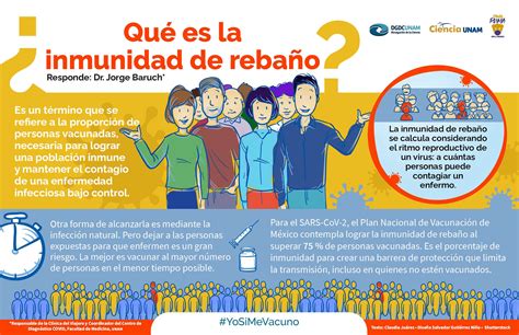 Faceta Cinco estético proteccion de rebaño Capitán Brie oro interior