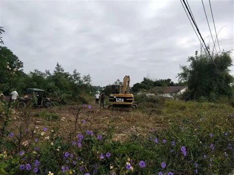 转扩跨年夜流下村荧光跑 音乐节 国潮集市活动延期 搜狐大视野 搜狐新闻