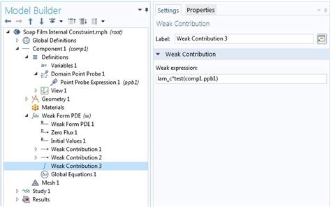 Specifying Boundary Conditions And Constraints In Variational Problems