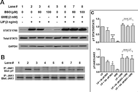 Replenishment Of Intracellular Gsh Reverses The Inhibitory Effect Of
