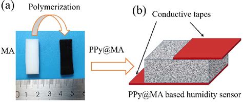 Figure 1 From Self Powered Humidity Sensor Based On Polypyrrolemelamine Aerogel For Real Time