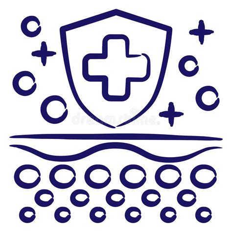 Skin Function Stock Illustrations 811 Skin Function Stock