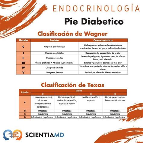 Pie Diabetico Wagner 4 At Harold Case Blog