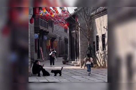 两个妹妹同时跑向哥哥 很明显这个哥哥摊上事了