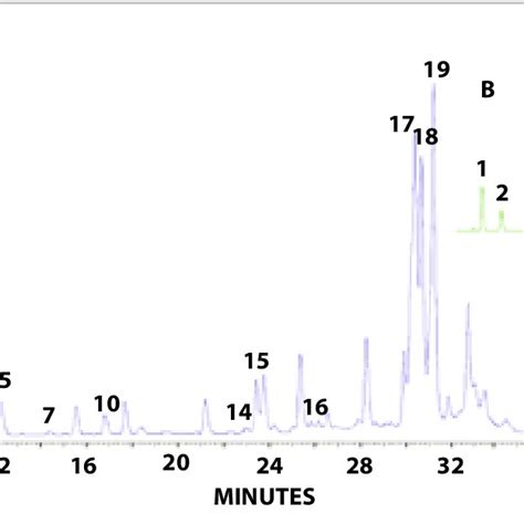A Hplc Chromatogram Of The Ethanolic Propolis Sample Epe B