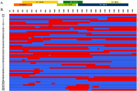Schematic Representation Of 47 Recombinant Viral Genomes Generated By