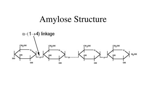 Ppt Starch Powerpoint Presentation Free Download Id175829