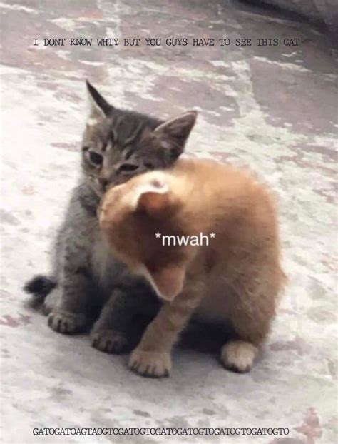 Typewriter Simulator By Papercookies Viktorrkraus