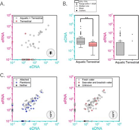 Ecological Trait Evaluation Using Ednaerna Metabarcoding Analyses To