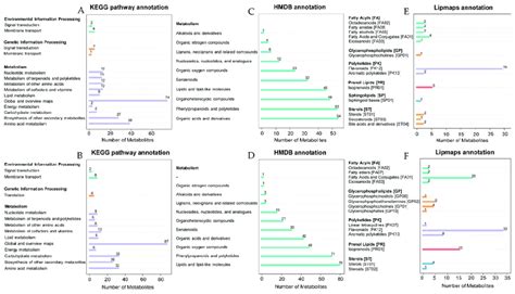 Pathway Annotation And Classification Of Metabolites In Different Download Scientific Diagram