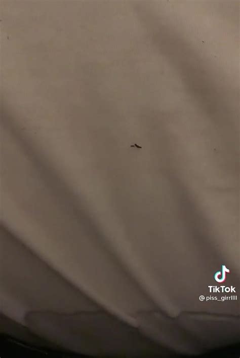 Tik Tok Pee Video 46