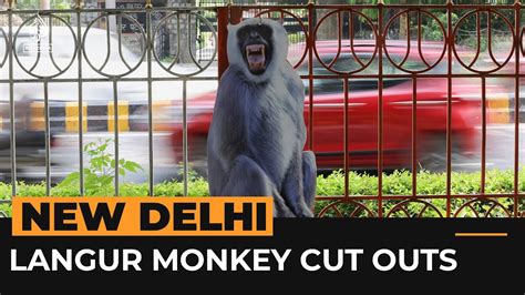 Langur Cut Outs Planted Around Delhi To Scare Off Monkeys Ahead Of G20
