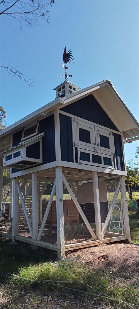 Cracked Open The Tiny Egg R Backyardchickens